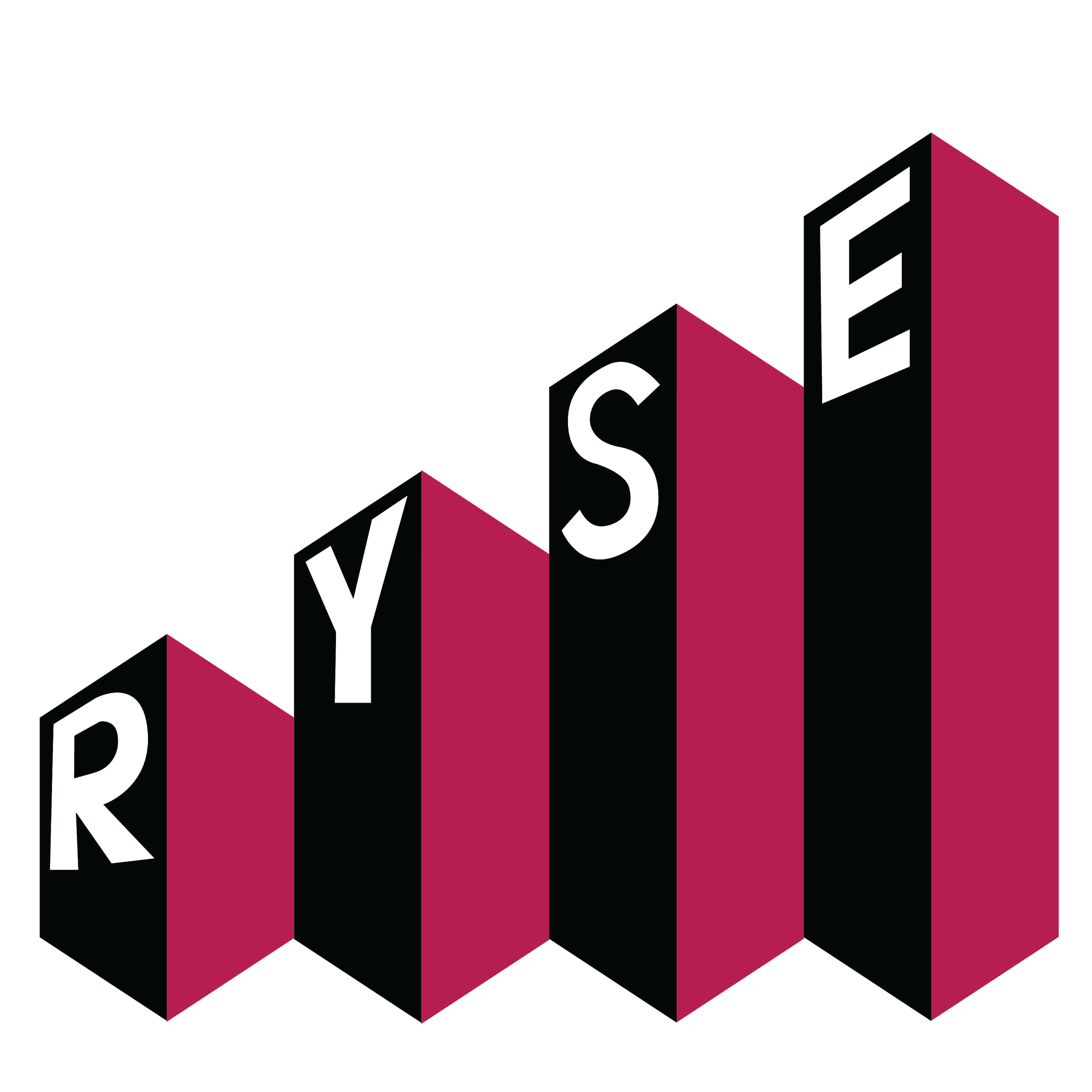 Rapid Youth Success Entrepreneurship/Employability (RYSE) - Wiki Impact
