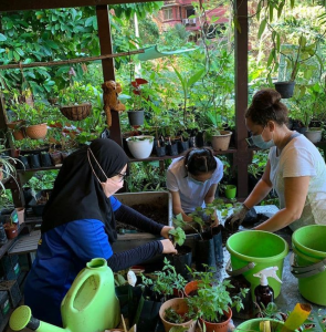7 Impact Experience In Klang Valley That Gives Back - Wiki Impact
