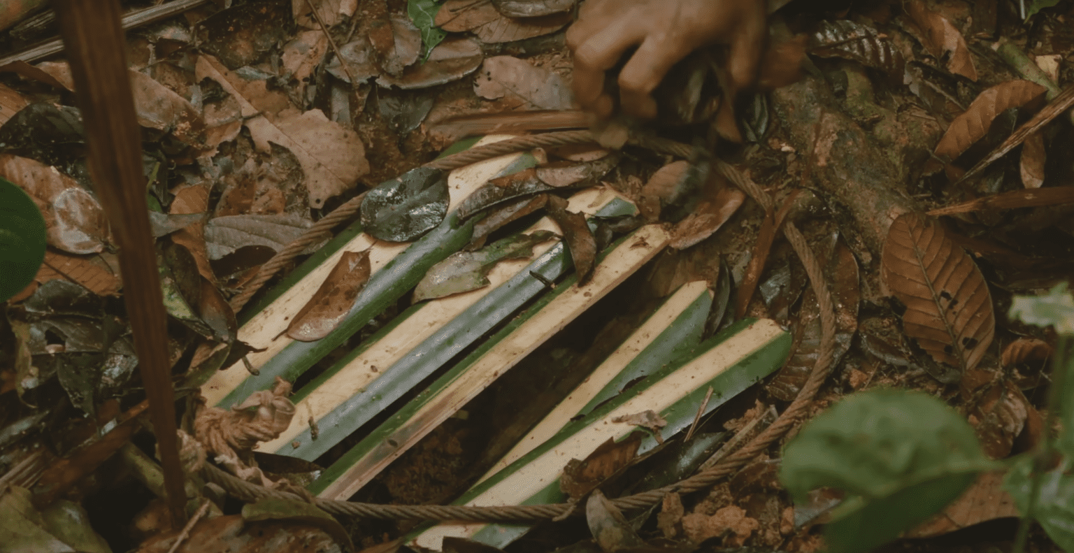 The Jahai Tribe At The Frontline of Malayan Tiger Conservation - Wiki ...