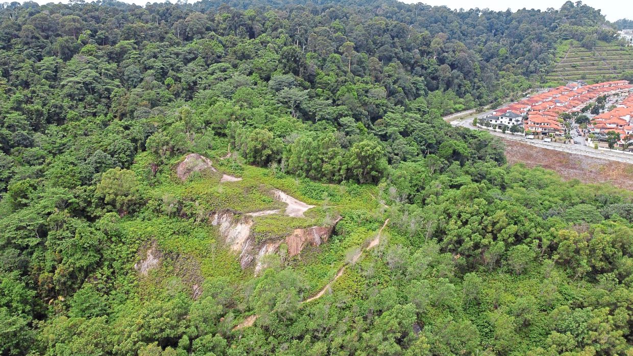 You Won't Believe What These 5 Klang Valley Forest Reserves Are Doing ...