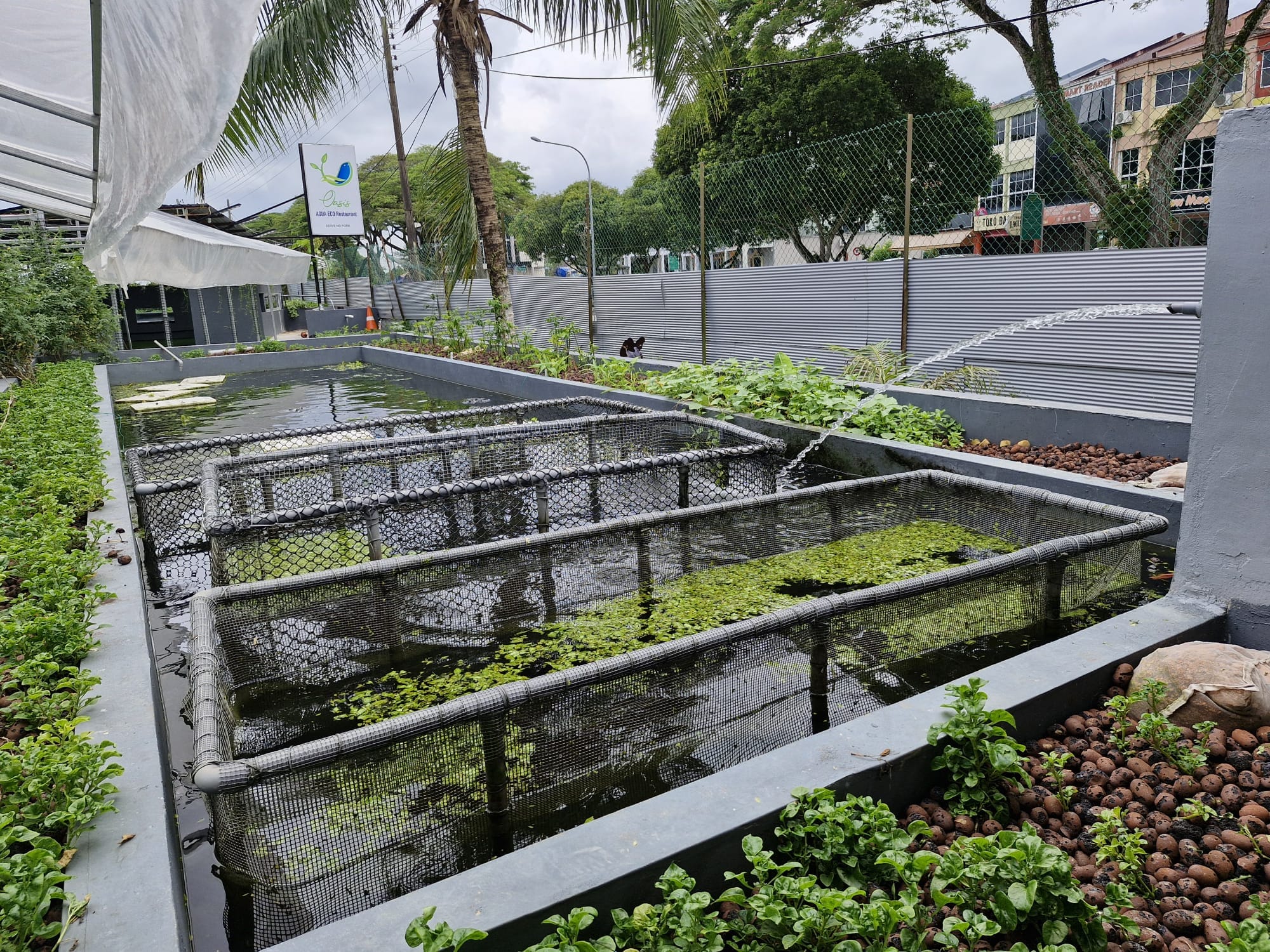 Green And Gourmet: 5 Eco-Conscious Dining Spots In Malaysia