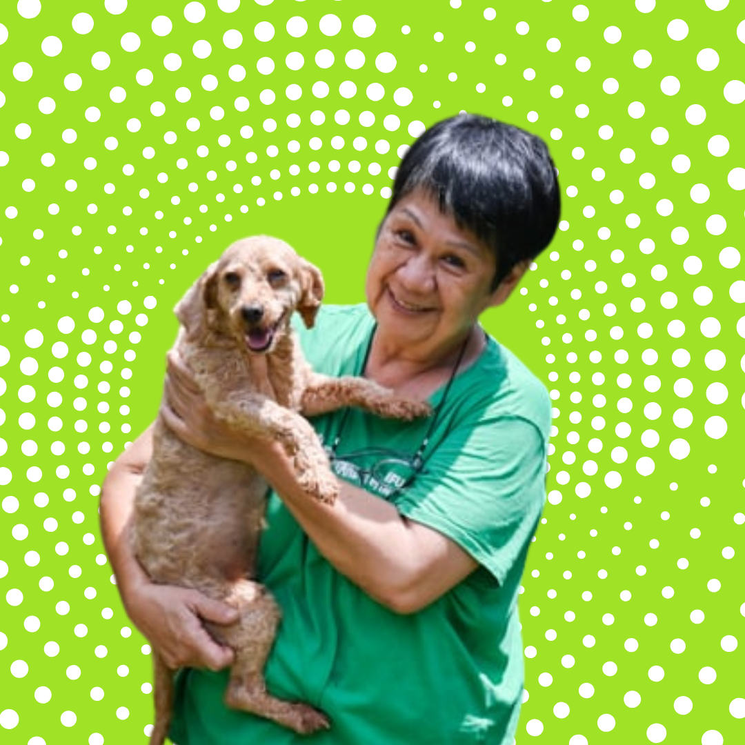 Winnie Lau - Wiki Impact